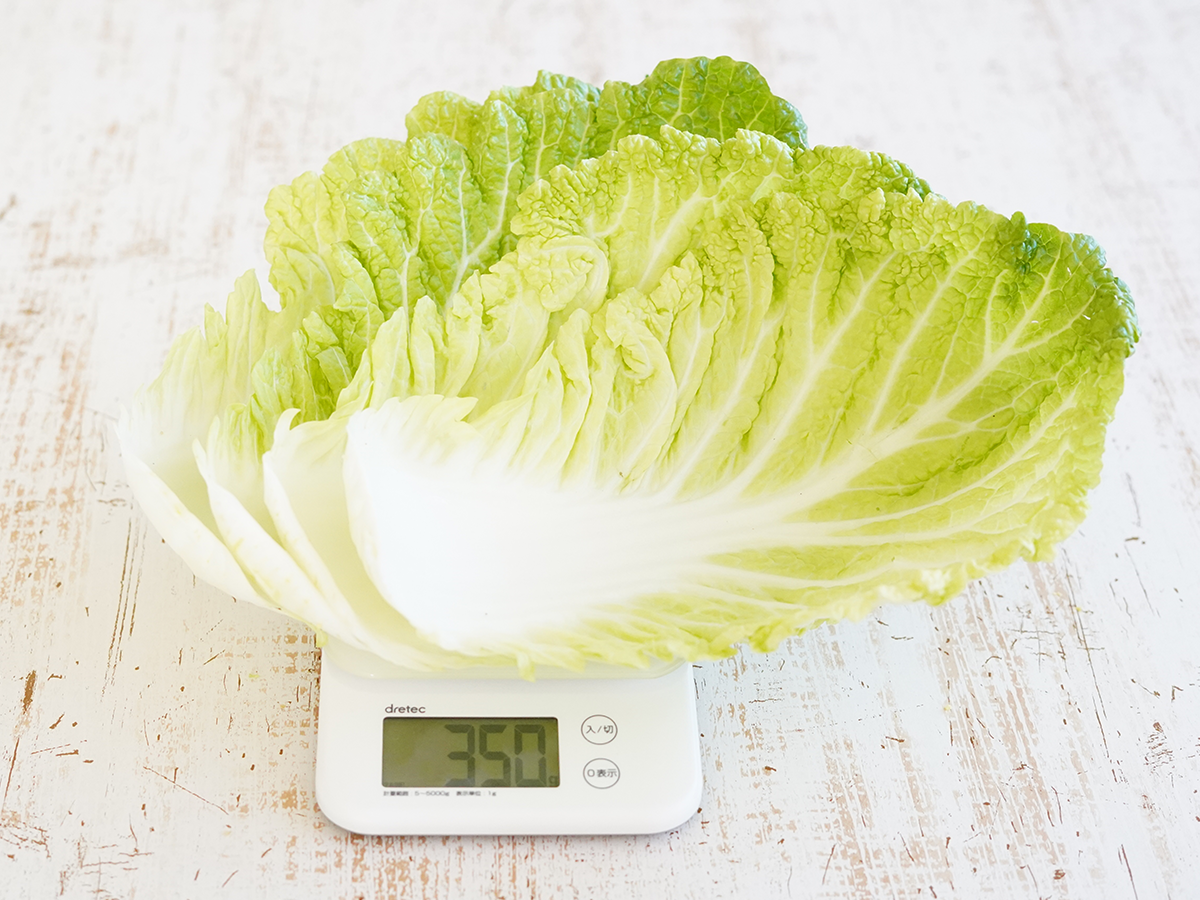 白菜の重さ｜1玉・1/2・1/4・1/6・1/8・1枚は何グラム？100gってどのくらい？ - Fily〔フィリー〕