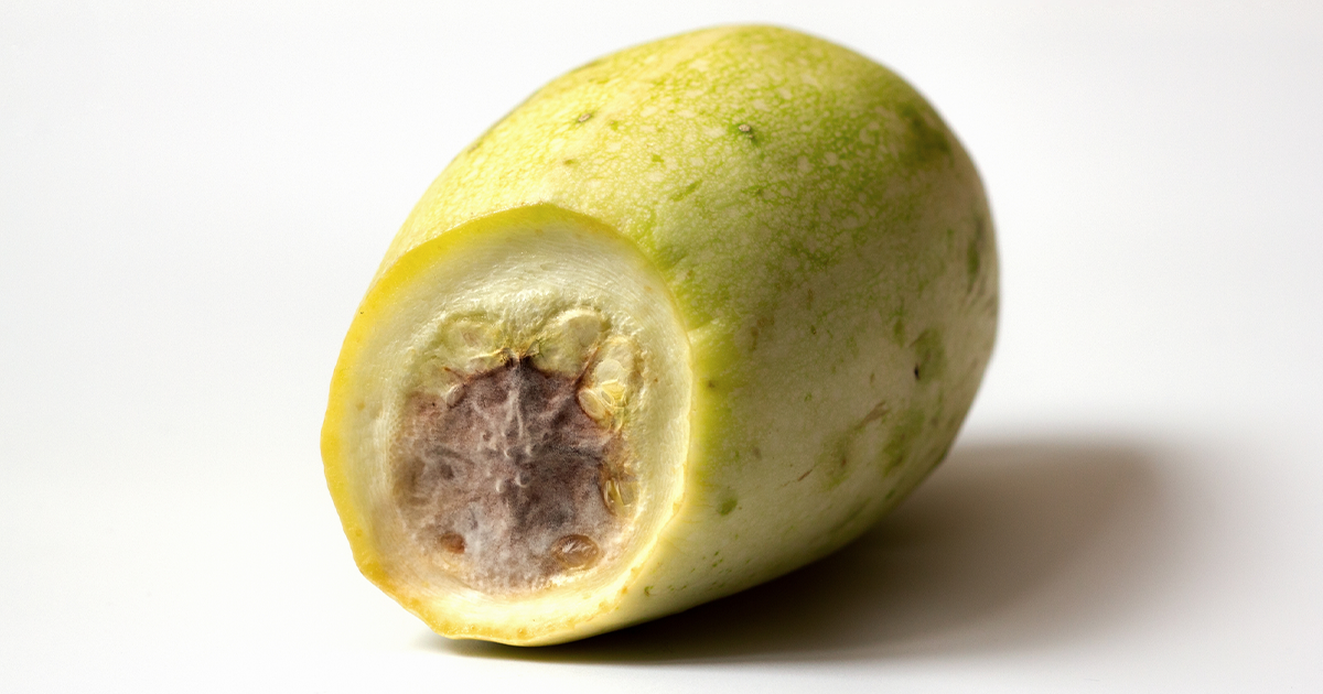 中身が茶色のズッキーニは食べて大丈夫？対処法と原因は？ - Fily